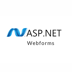 ASP.Net Development Services | Beyond Vision